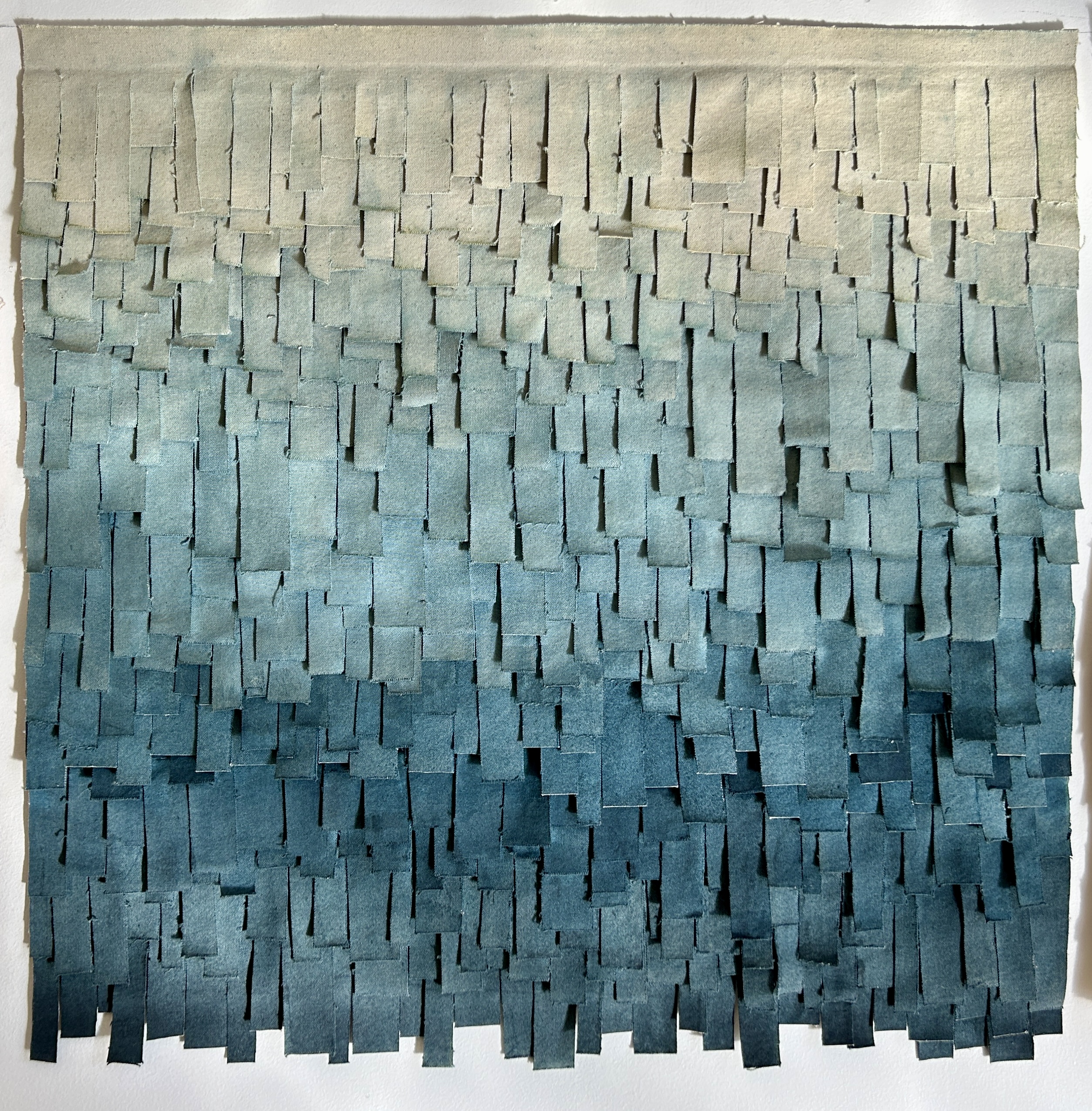 Fringe Series 12 | Ink + Indigo